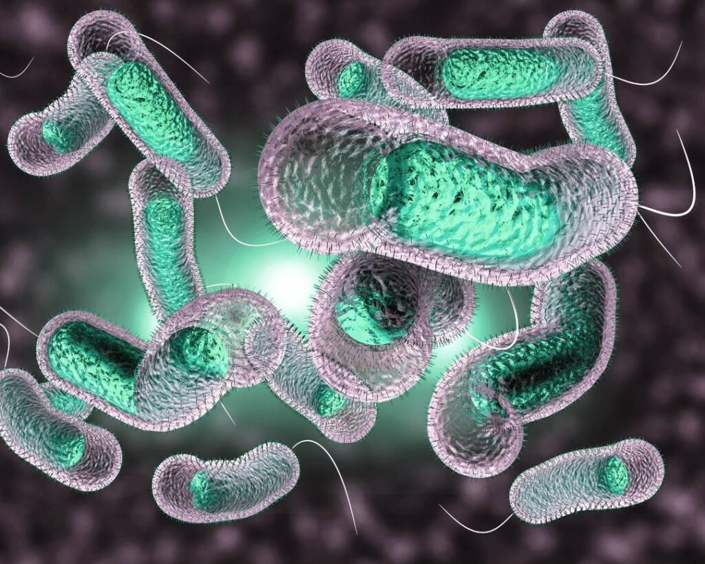 Multiresistente Keime - BioVariance - data-driven diagnostics